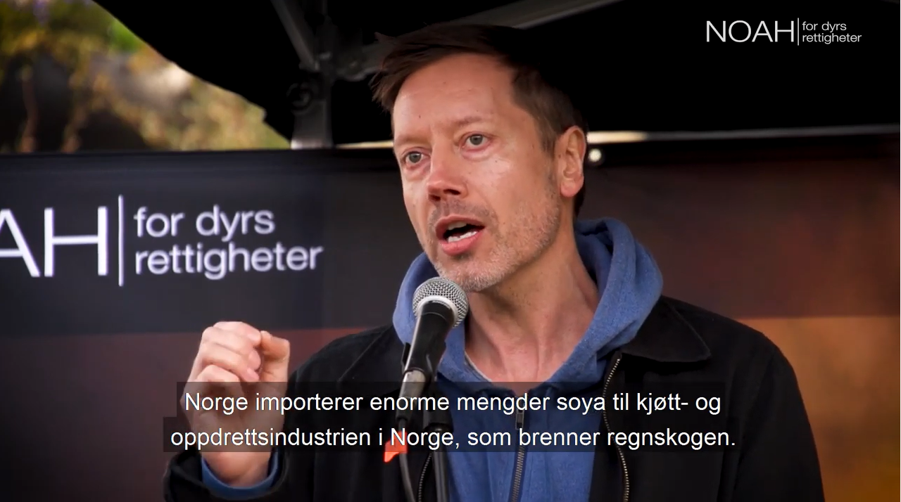 NOAHs Markering for de ville dyrene 2019: Frode Pleym - Villedyr